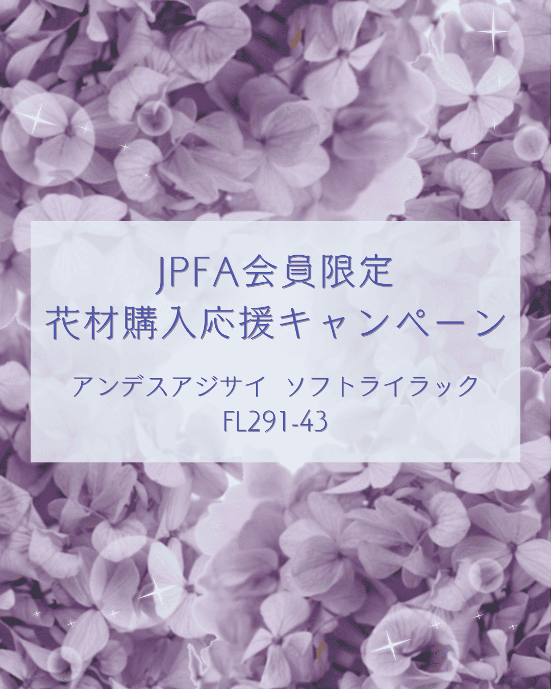 花材購入応援キャンペーン・2025年9月花材の紹介 | JPFA